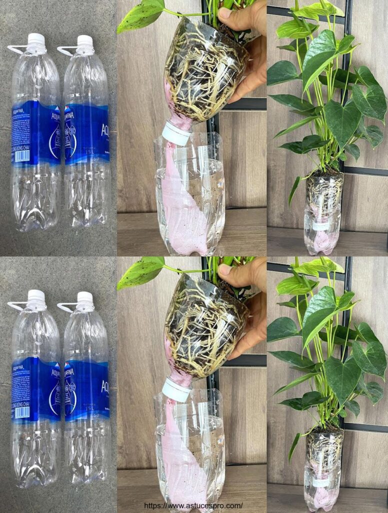 Transformer des bouteilles en plastique en pots de fleurs sans arrosage ... Transformer des bouteilles en plastique en pots de fleurs sans arrosage ...
